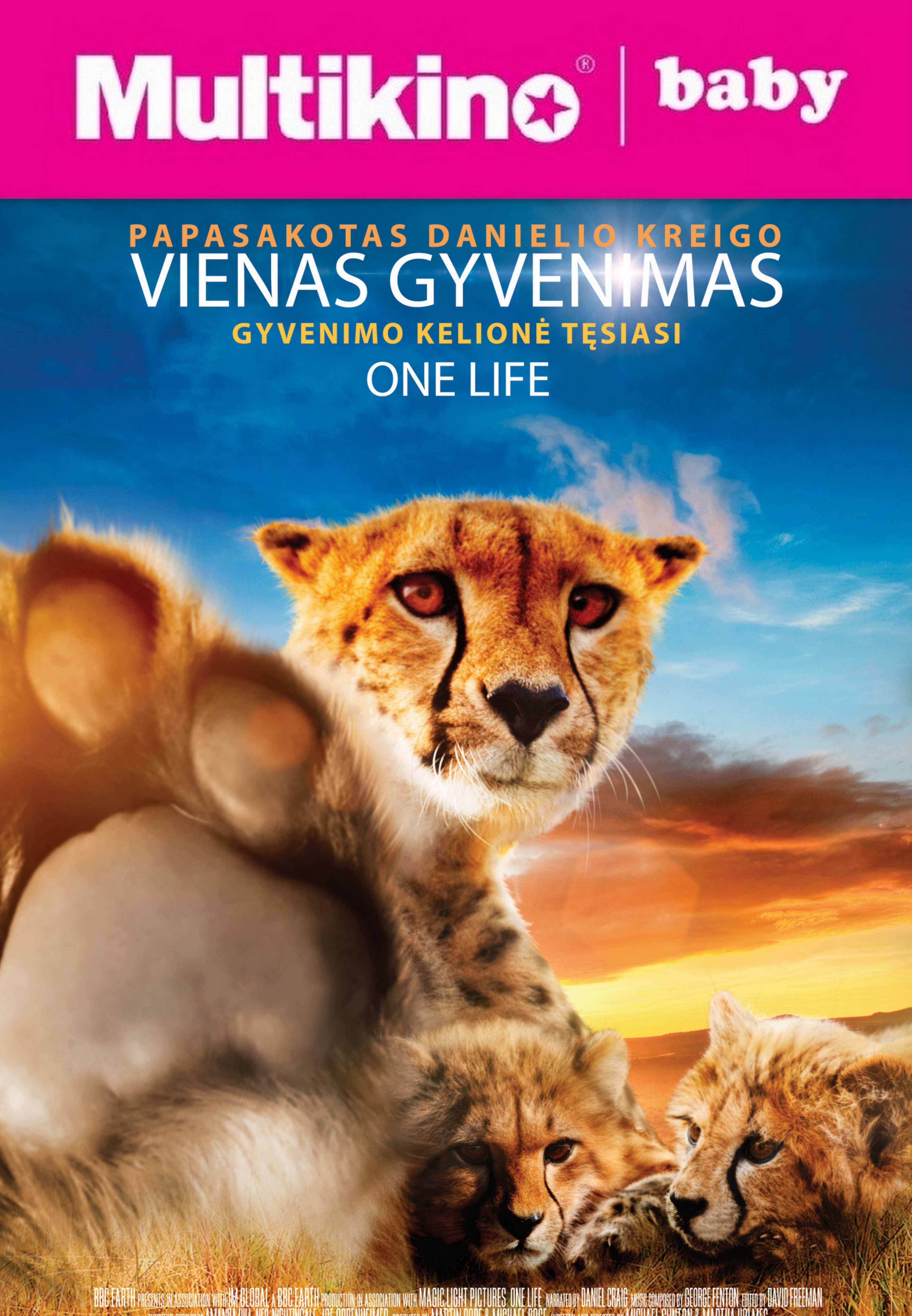 MultiBabyKino: Vienas gyvenimas